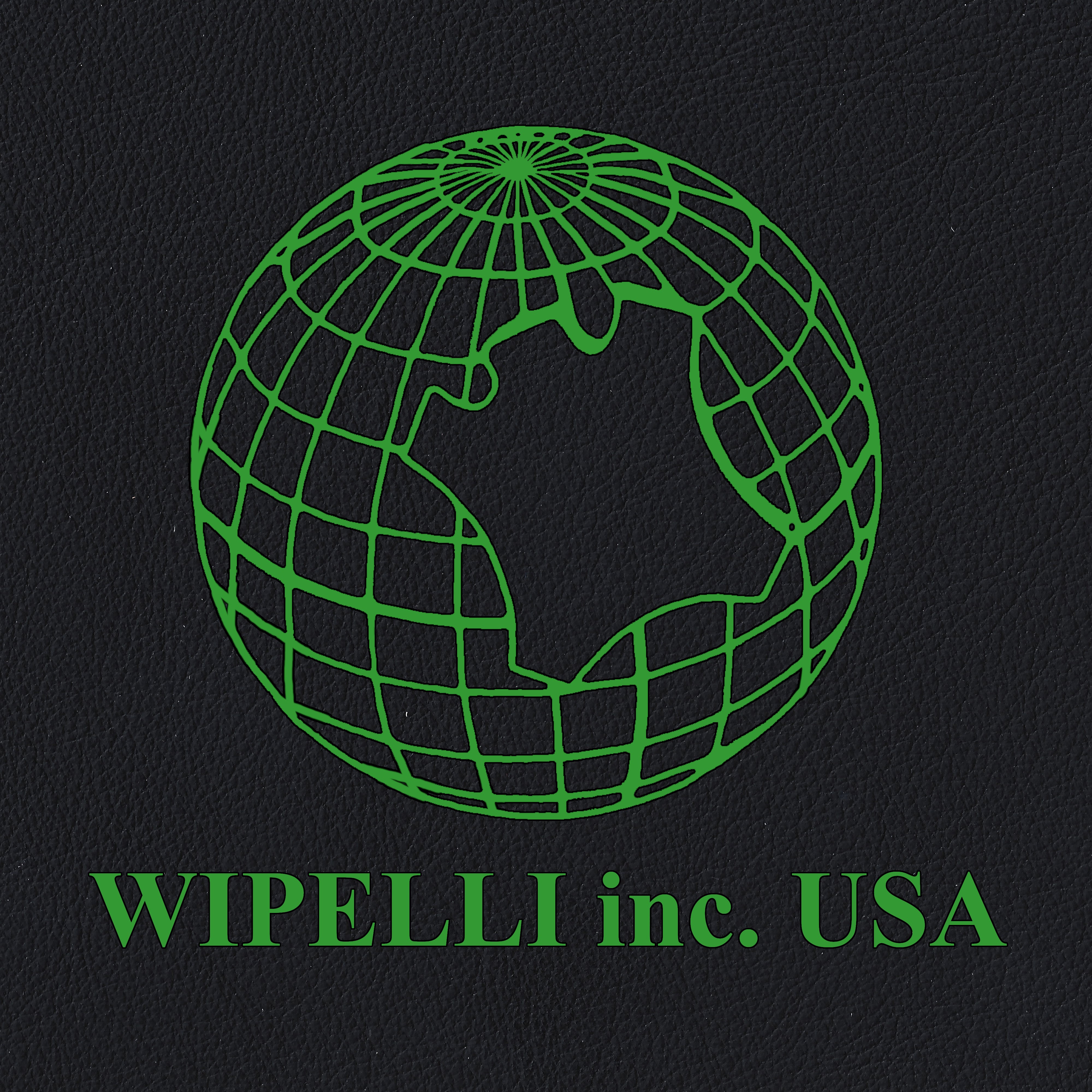Angelina Color Swatches (Download) – Wipelli